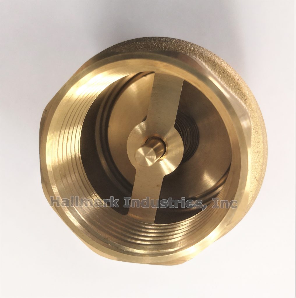 Brass Check Valve, Male/Female Connection – The Motor Pump Hub